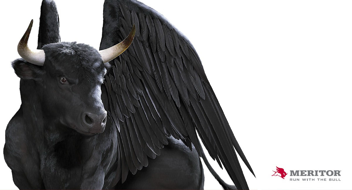 Meritor offers aftermarket business update during HDAW | Trucks, Parts ...